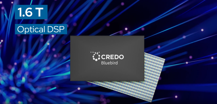 Credo Launches Low-Power Bluebird DSP for 1.6T Optical Transceivers